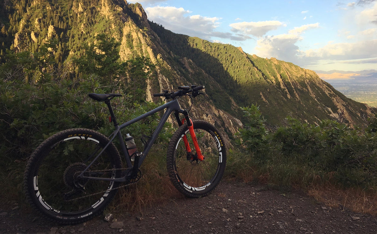 This Custom Painted OPEN ONE+ | Contender Bicycles