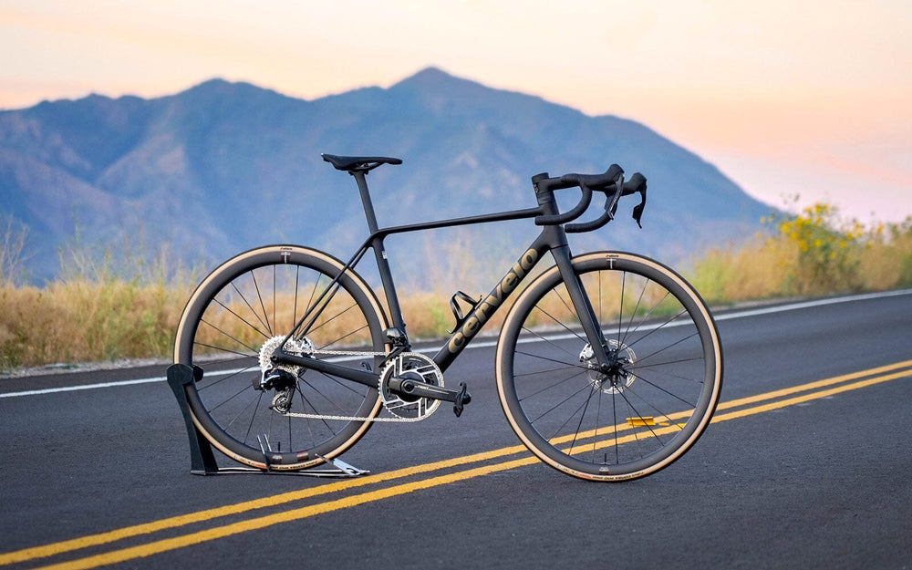 New Bikes | Contender Bicycles