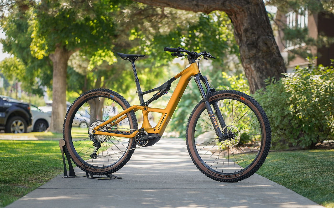 Contender Bicycles: Redefining The Bike Shop Experience